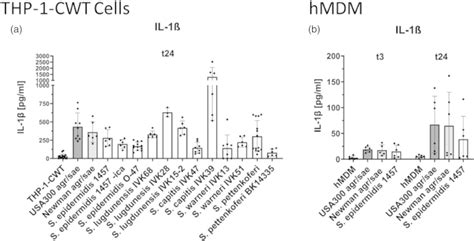 “non‐toxic” Staphylococcus Aureus Strains And Coagulase‐negative Download Scientific Diagram