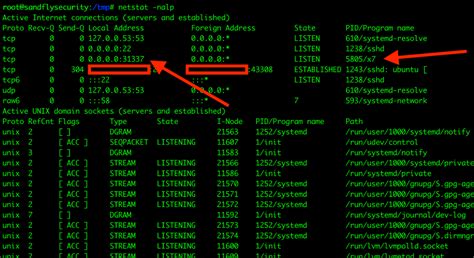 Security Hardening Di Linux Wajib Diketahui