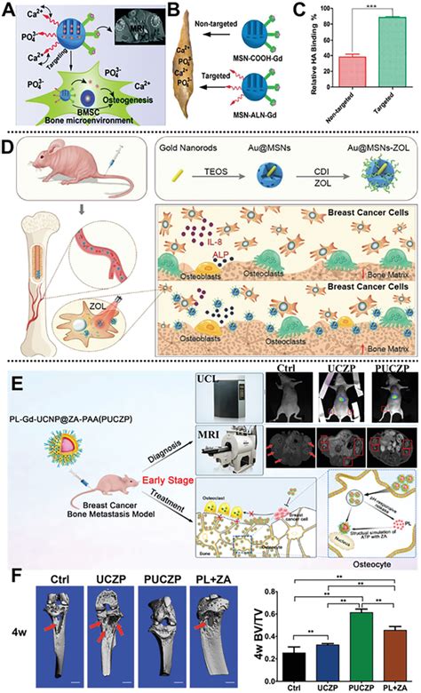 A Scheme Of Mns For Cellular Uptake By Hierarchical Download Scientific Diagram