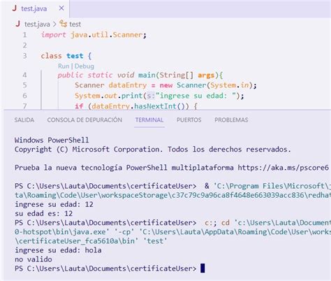 Aprendiendo A Verificar Si El Tipo De Dato Existe Con Java Esp Eng — Hive