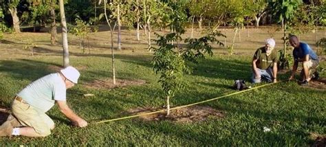 How To Map Out And Set Up A Farm For Better Productivity