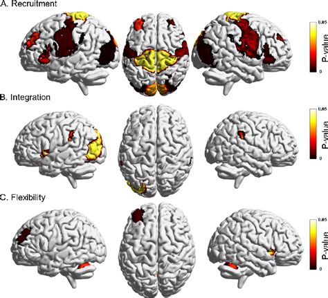 Figure 1 From Dynamic Reconfiguration Of Brain Functional Network In Stroke Semantic Scholar