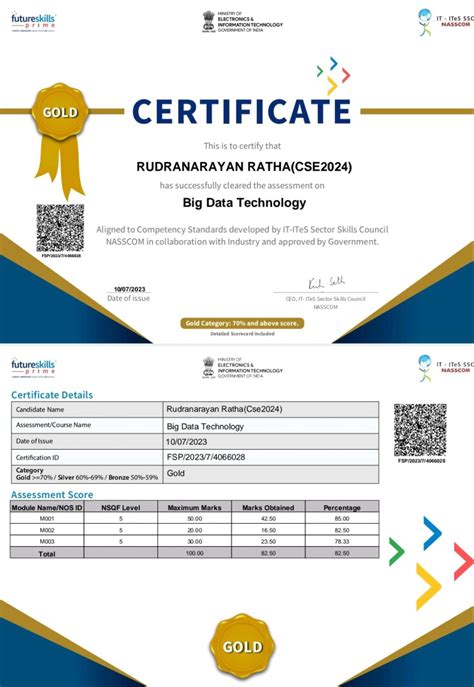 Passed Big Data Technology Course With Nasscom Rudranarayan Ratha