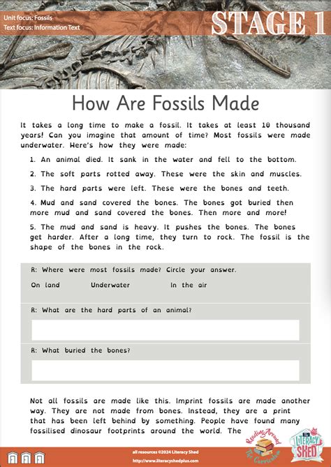 Literacy Shed Plus LitShed Resource Fossils Stage Comp How Fossils Are Made