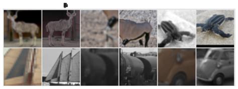 Tutorial 17 Self Supervised Contrastive Learning With Simclr — Uva Dl Notebooks V12 Documentation