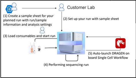 Illumina Post Sequencing Auto Launch Dragen™ Single Cell Rna…