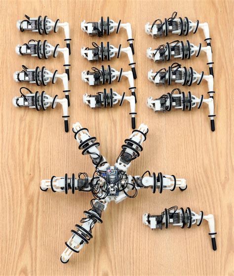 Multi Legged Robot Reconfigures In Real Time Tech Briefs