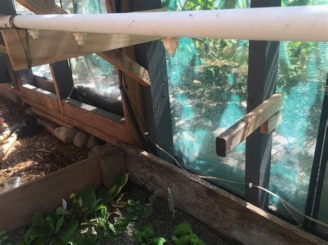 Adventures With A Tubie Diy Plant Propagation Misting System Using An