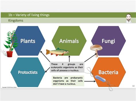 Igcse 9 1 Ultimate Presentation Bundle