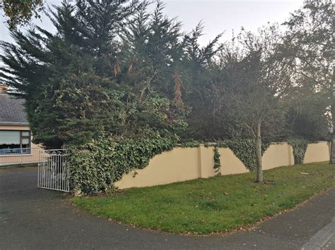 Tree Maintenance Hogan Landscaping Construction Tree Maintenance Hogan Landscaping Construction