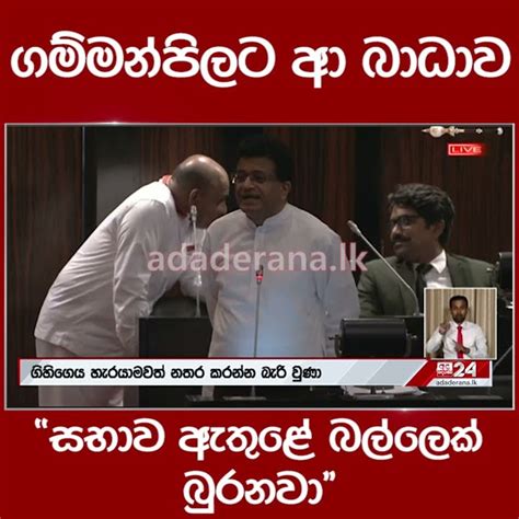 ගම්මන්පිලට ආ බාධාව සභාව ඇතුළේ බල්ලෙක් බුරනවා Youtube