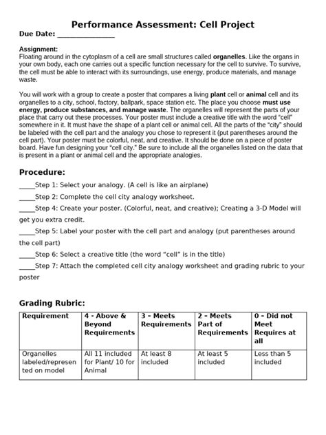 Ell Cell Project Pdf