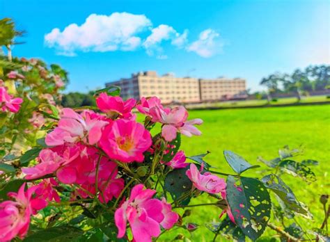 Adnan Chowdhury On Linkedin School Bangladesh