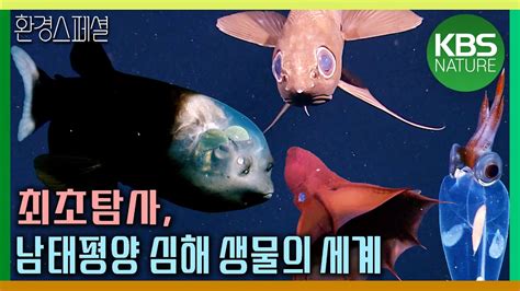 뱀파이어 오징어 뇌가 보이는 물고기 충격 심해 생물의 세계 최초탐사 남태평양 심해를 가다 Kbs 20110605 방송 Youtube