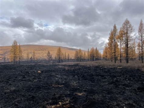 ТВ24 🔷 ХӨВСГӨЛ АЙМГИЙН ЦАГААННУУР СУМАНД ГАРСАН ОЙН ТҮЙМРИЙГ БҮРЭН УНТРААЛАА Хөвсгөл аймгийн