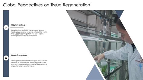 Decellularization Tissue Engineering Scaffold Creation Ppt Example St Ai Ppt Presentation