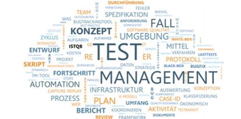 Test Management Test Process Fundamentals Luigi Cardarella