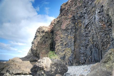 The Fossil Tree And Burg