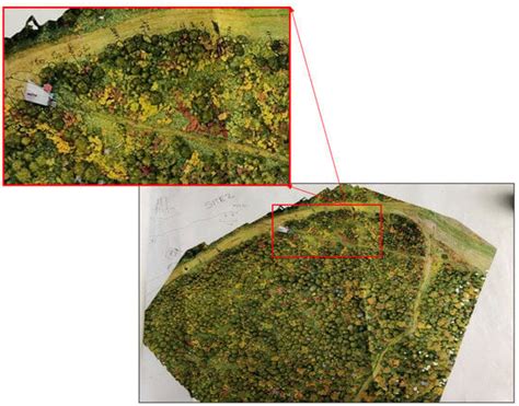 Remote Sensing Special Issue Biomass Remote Sensing In Forest Landscapes Ii