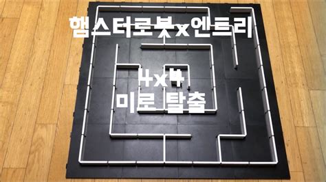 햄스터로봇 미로 탈출 Youtube