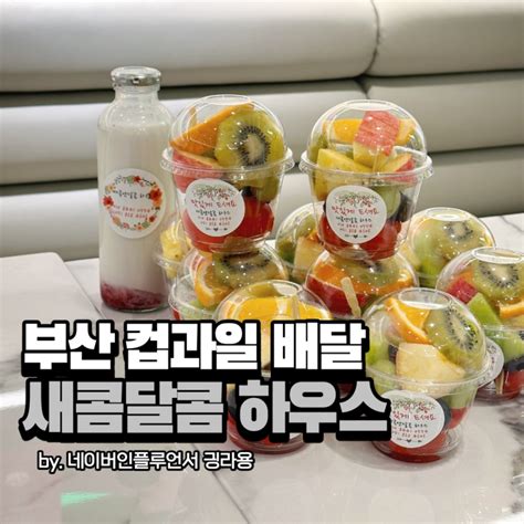 부산 컵과일 잘하는 새콤앤달콤하우스에서 부산 과일도시락 받았어요 네이버 블로그