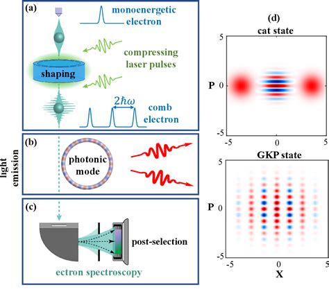Figure 1 From Creation Of Optical Cat And Gkp States Using Shaped Free Electrons Semantic Scholar