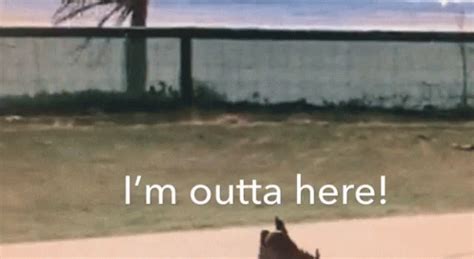 I Am Outta Here S Tenor