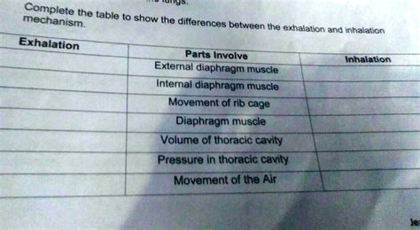 SOLVED Complete The Table To Show The Differences Between The