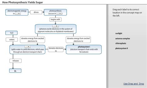 The Complement System Concept Map United States Map