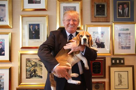 14 Best U Douglas P Images On Pholder Is This The Best Twitter Post Of All Time