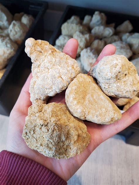 Break Open Geodes Kelowna Rocks And Gems