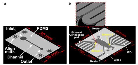 Schematic Diagrams Of The Sperm Sorting Microfluidic Device A