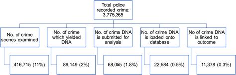 Crime Scene Dna Evidence