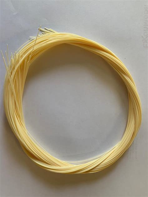 Aquila ‘nng New Nylgut Lute Strings Holzenburg Verlag