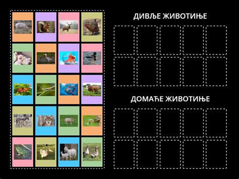 ДОМАЋЕ И ДИВЉЕ ЖИВОТИЊЕ Врста групе