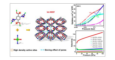 Synergistic Effect Of Active Sites And A Multiple Micropore System For A Metalorganic Framework