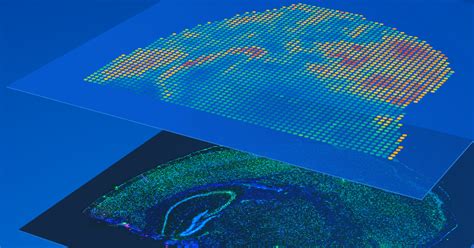 Spatial Proteomics 10x Genomics Millennium Science