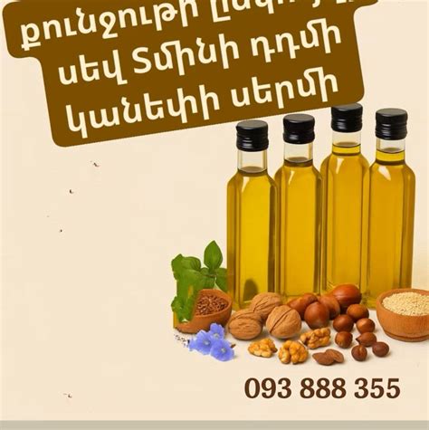 Դդմի յուղը Արյան շրջանառությունը խթանող ազդեցություն ունի — Դդմի յուղի օմեգա 3 և օմեգա 6