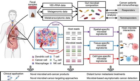 Bmbl Bioinformatics And Mathematical Biosciences Lab