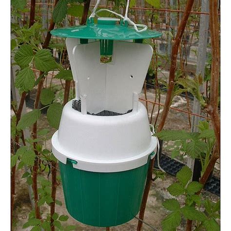 Raspberry Beetle Trap Refill Suttons