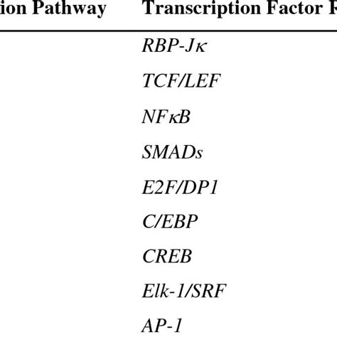 Transcription Factor Response Elements For Luciferase Signaling Download Table
