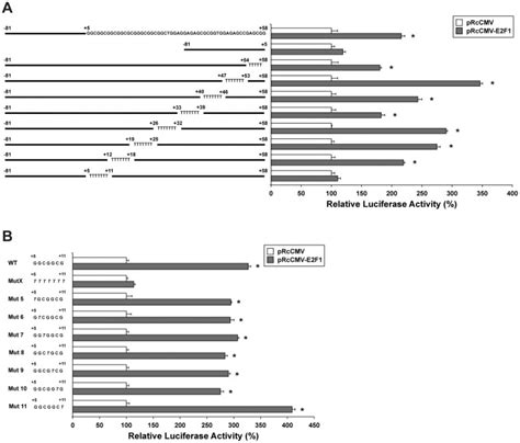 A Constructs In Which Pgl3 Basic Was Linked To Different Fgfr2