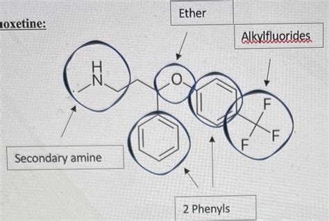 Solved What Of These Functional Groups Are Ionizable And