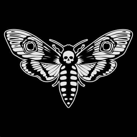 Deaths Head Hawk Moth Acherontia Atropos Butterfly Design Hand Drawn