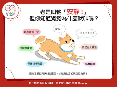 狗狗真心話汪汪汪汪汪你知道狗狗為什麼吠叫嗎 毛起來 MaoUP