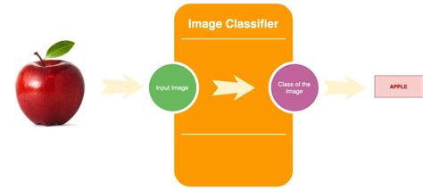 Building A Multi Class Image Classifier On Ios Fritz Ai