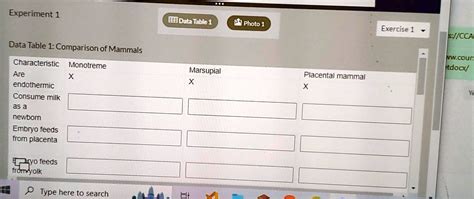 Solved Experiment 1 Data Table 1 Photo 1 Exercise 1 Scca Data Table 1 Comparison Of Mammals