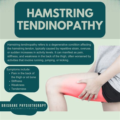 Understanding And Overcoming Hamstring Tendinopathy Brisbane Physiotherapy And Podiatry