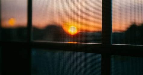 The Ultimate Guide To Choosing The Right Window Screen Material Arizona Screen Company
