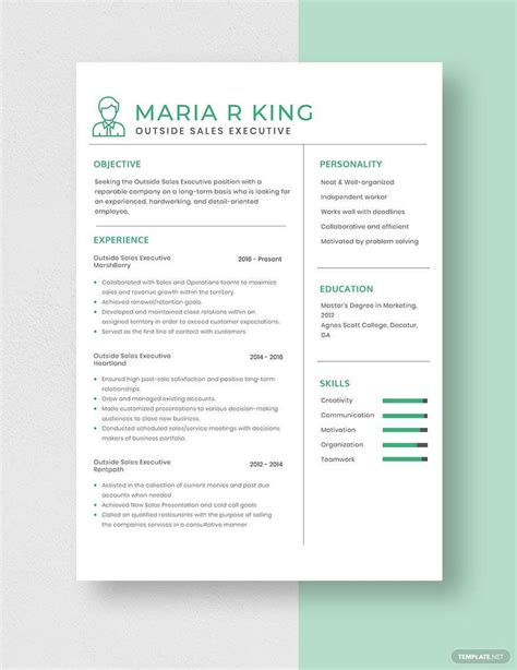 Sales Executive Resume Format In Pages Psd Publisher Word Download